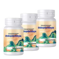 China Advanced Type III Collagen Supplement For Skin Health Naturally Supports Hair Skin Dietary Supplement for sale