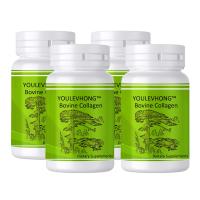 China Bovine Collagen Supplement With 18g Protein Per Serving Vitamin B7 Contributes To The Maintenance Of Normal Skin And Hair for sale