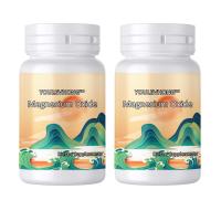 China Magnesium Oxide Supplement 100 Capsules Gluten Free USA Manufactured for sale