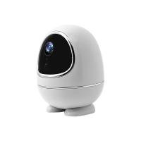 China PIR Motion Detection Smart PTZ Camera Home Security Baby Monitor Network Wifi Camera for sale