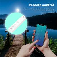 China Individual Control Universal Smart Wifi Plug Alexa Google Tuya Smart Power Socket Plug for sale