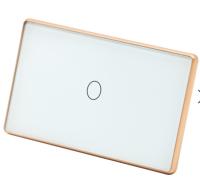 China Tuya 1 Gang Zigbee Smart Switch Electrical Home Automation Switch With Google Alexa for sale