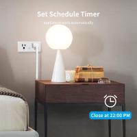 China US Standard Tuya Wifi Smart Wall Plug Google Assistant Voice And Timing Control for sale