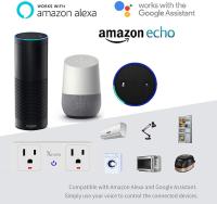 China US Standard Tuya Wifi Smart Wall Plug Google Assistant Voice And Timing Control for sale
