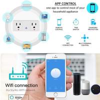 China US Standard Tuya Wifi Smart Wall Plug Google Assistant Voice And Timing Control for sale