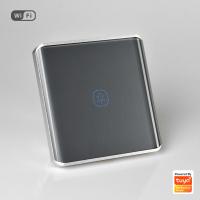 China Tuya 1 Gang Switch Wifi Curved Surface Manual Touch Control Wall Switches For Smart Home for sale