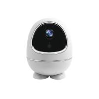 China PIR Motion Detection Smart PTZ Camera Home Security Baby Monitor Network Wifi Camera for sale