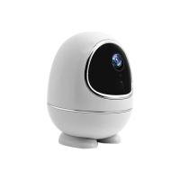 China PIR Motion Detection Smart PTZ Camera Home Security Baby Monitor Network Wifi Camera for sale