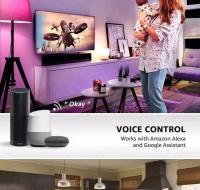 China 36W Modern Music Ceiling Light Colorful RGB Remote Control APP Smart Music LED Ceiling Light for sale