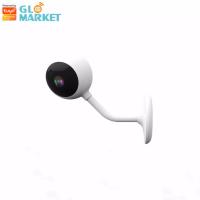 China 1080p Indoor Outdoor Fixed Tuya Smart Camera Two Way Audio Motion Detection Mini Camera for sale