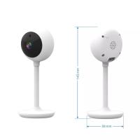 China 1080p Indoor Outdoor Fixed Tuya Smart Camera Two Way Audio Motion Detection Mini Camera for sale