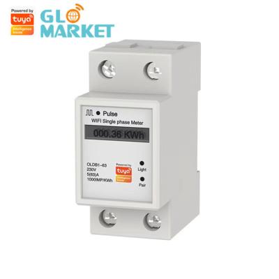China Tuya Monitoring Smart LCD Display Wifi Energy Meter Remote Control for sale