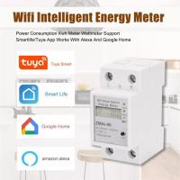 China Tuya Monitoring Smart LCD Display Wifi Energy Meter Remote Control for sale