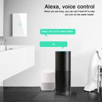 China Tuya Wifi Smart 1Gang 20A APP Remote Control Touch Switch With Alexa Google for sale