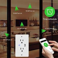 China Google Home Alexa Universal Tuya Wifi Smart Wall Socket With 1 Usb for sale