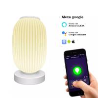 China Glomarket Tuya Wifi 3D Print Smart Lantern Light 16 Million Colors Bright Adjustment for sale