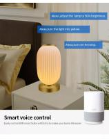 China Glomarket Tuya Wifi 3D Print Smart Lantern Light 16 Million Colors Bright Adjustment for sale