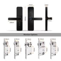 China WiFi Smart Door Lock Waterproof Tuya App Control Fingerprint Password Unlock for sale