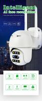 China WiFi Security Alarm Camera Video Motion Detection Wireless Outdoor Waterproof Camera for sale