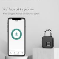 China Waterproof Safety Smart Fingerprint Padlock Mini Digital Electronic Tuya Smart Door Lock for sale