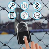 China Tuya App Control Smart Fingerprint Padlock Keyless USB Charging For Door Suitcase Drawer for sale