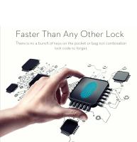 China Zinc Alloy Tuya Smart Lock USB Rechargeable Security Keyless Fingerprint Anti Theft for sale