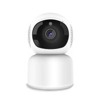 China 1080P Tuya Smart Camera Full HD Wifi Alexa Google PIR Detection Security PTZ Camera for sale