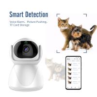 China Tuya Smart Security Camera Home Mini Wifi Indoor PIR Motion Detection For Smart Home for sale
