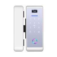 China Smart Tuya Wifi Glass Intelligent Door Lock With Fingerprint Digital Keyboard Password for sale