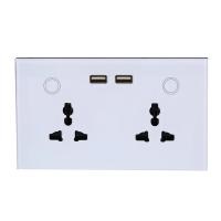 China Tuya Smart Home WiFi Switch Wall Double Socket Current Monitoring USB Charger Socket for sale