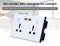 China Tuya Smart Home WiFi Switch Wall Double Socket Current Monitoring USB Charger Socket for sale