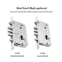 China 4200mah Large Lithium Battery Intelligent Door Lock With Cat Eye Surveillance Camera for sale