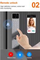 China Glomarket Tuya Biometric Face Recognition Door Smart Lock for sale