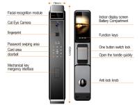 China Tuya fully automatic facial recognition fingerprint lock with lock body for sale