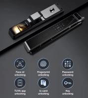 China Tuya fully automatic facial recognition fingerprint lock with lock body for sale