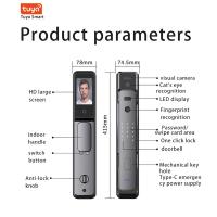 China Fully automatic digital electronic intelligent door lock with facial and fingerprint recognition for sale