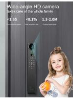 China Heavyweight intelligent facial recognition lock Tuya Smart visual intercom for sale