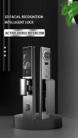 China Fashionable and affordable price facial recognition smart door lock for sale