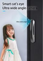 China High quality intelligent facial recognition door lock supports 6 unlocking methods for sale