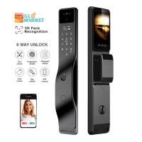China Hot selling black intelligent door lock with facial recognition and active intercom for sale