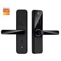 China Glomarket Wifi Biometric Electronic Tuya App Remote Smart Lock Smart Fingerprint Door Lock With Cat Eye for sale