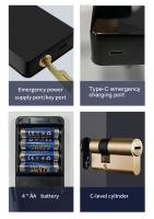 China Glomarket Tuya TTlock Fingerprint Digital Password Apartment Home Room Cerraduras Inteligentes Security Smart Wooden Door Lock for sale