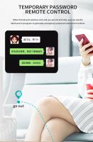 China Glomarket Tuya TTlock Fingerprint Digital Password Apartment Home Room Cerraduras Inteligentes Security Smart Wooden Door Lock for sale