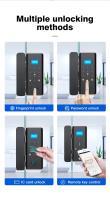 China Glomarket Smart Glass Door Lock Wifi Remote Control Tuya app Office Lock Card Digital Biometric Fingerprint Door Lock for sale