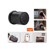 China Glomarket New Style Tuya App Control Smart Lock Door Fingerprint Password Home Hotel Apartment Electronic Smart Door Knob Lock for sale