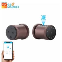 China Glomarket New Style Tuya App Control Smart Lock Door Fingerprint Password Home Hotel Apartment Electronic Smart Door Knob Lock for sale