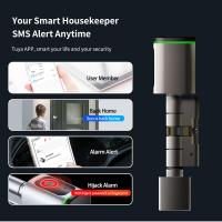 China Glomarket Home Smart Door Lock Ttlock Smart Fingerprint Card Key Unlock Adjustable Cylinder Euro Smart Lock Tuya App Door Lock for sale