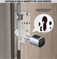 China Glomarket Tuya Ttlock Smart Digital Keyless Door Lock Cylinder Combination Password & Card Electronic Lock Cylinders Smart Lock for sale