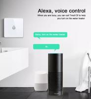 China Glomarket Tuya Smart Glass Touch Button Wifi Smart Boiler Switch Alexa Voice Control EU Standard Water Heater Switch for sale