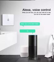 China Glomarket Tuya Smart Wifi Water Heater Switch Us Standard 20A Wireless Remote Control Voice Timer Google Home Alexa for sale